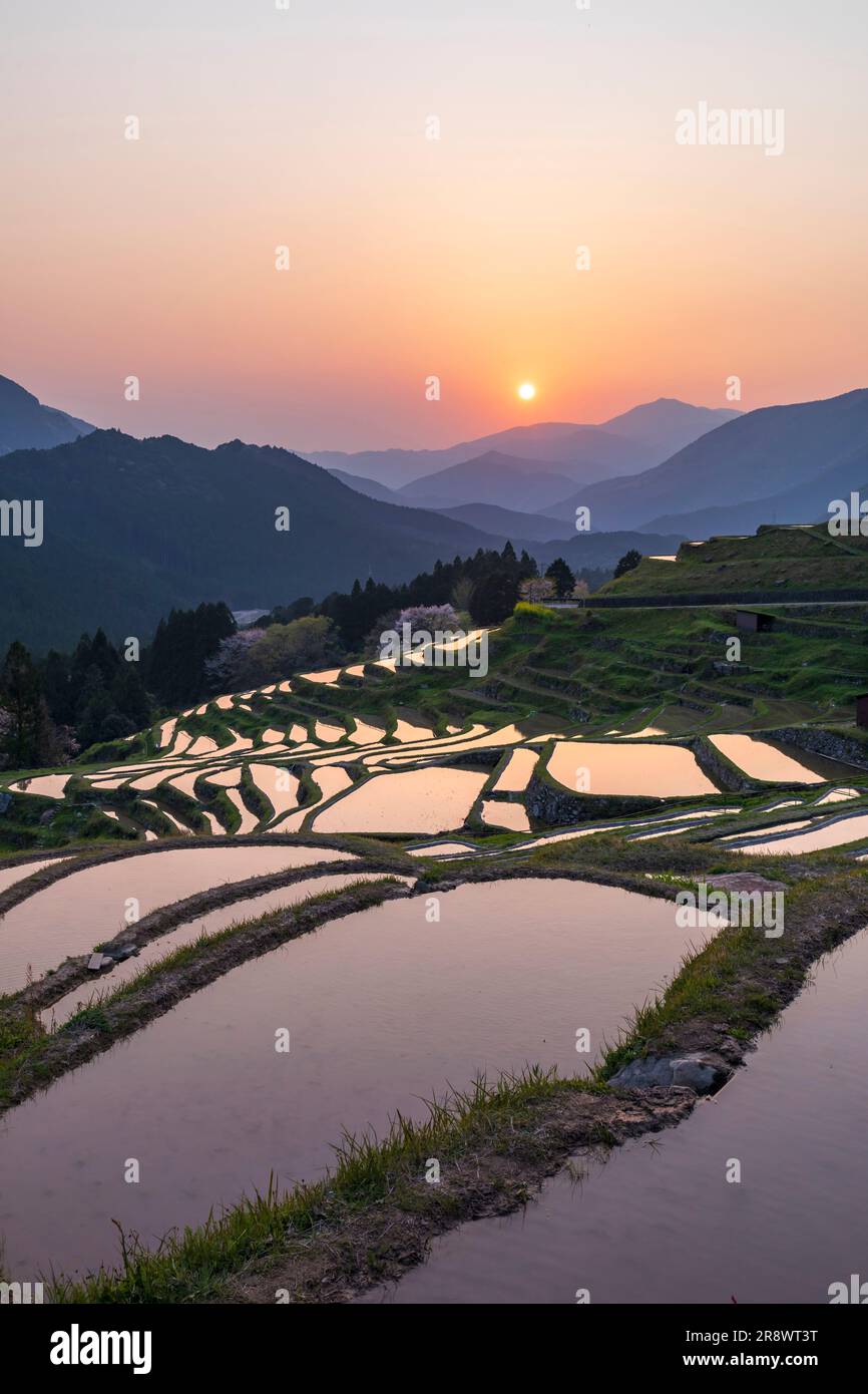 Rice terraces at maruyama senmaida hi-res stock photography and images ...