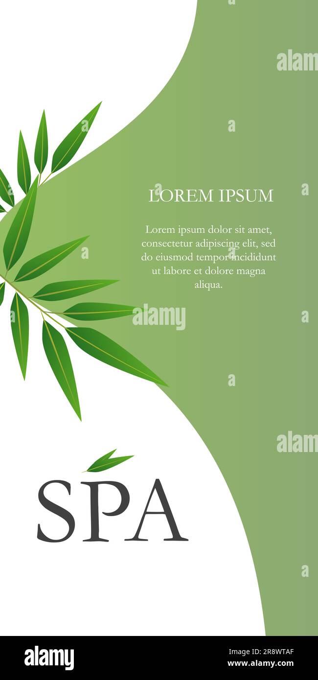 Spa lettering on creative background with leaves Stock Vector Image ...