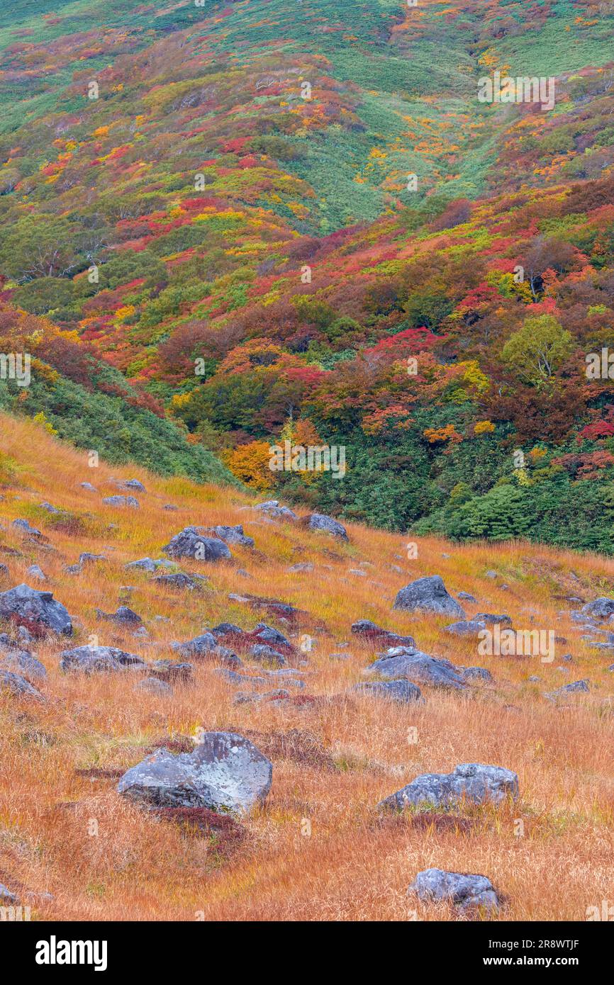 Chokaisan in Autumn Stock Photo - Alamy