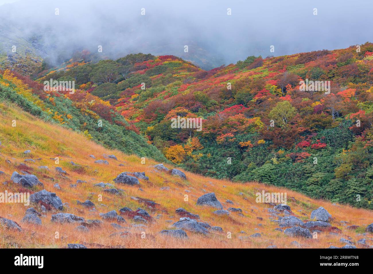 Chokaisan in Autumn Stock Photo - Alamy