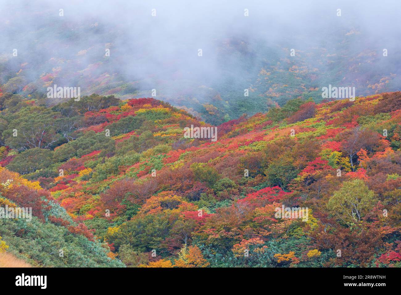 Chokaisan in Autumn Stock Photo - Alamy