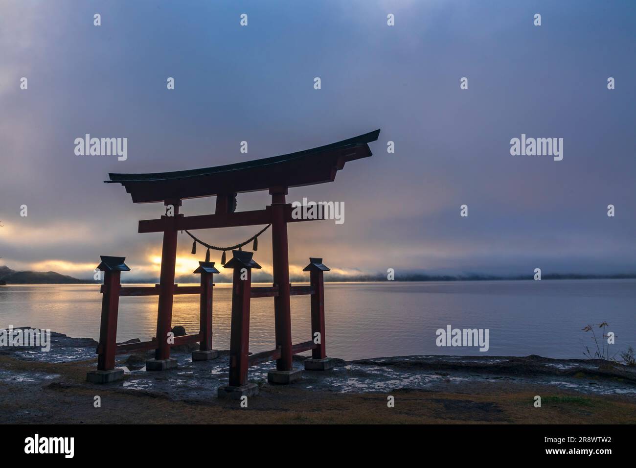 Torii gate with shimenawa hi-res stock photography and images - Alamy