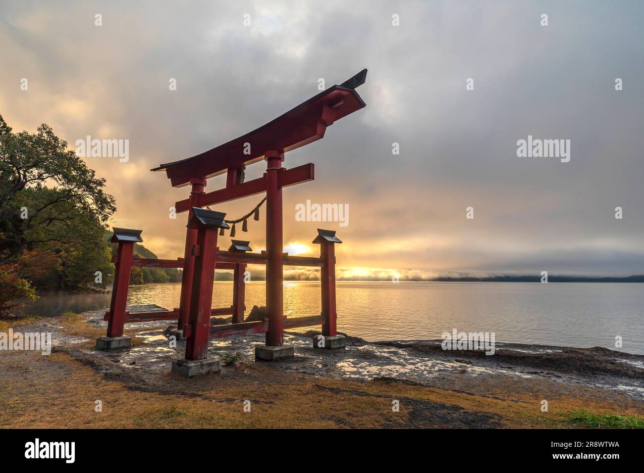 Torii gate with shimenawa hi-res stock photography and images - Alamy