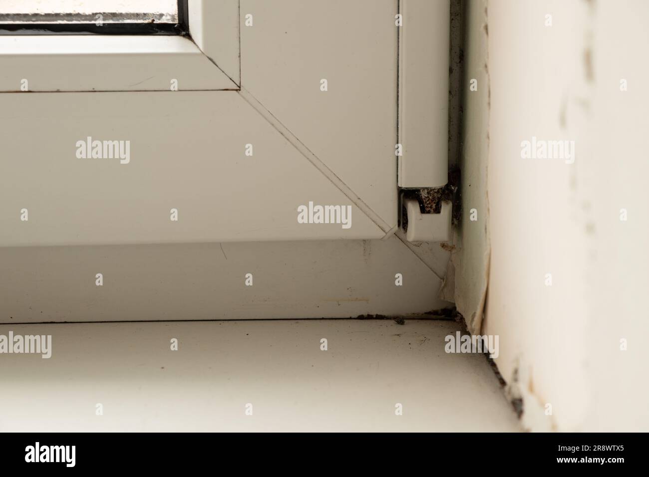 metal-plastic window in an apartment damaged by mold and moisture close ...