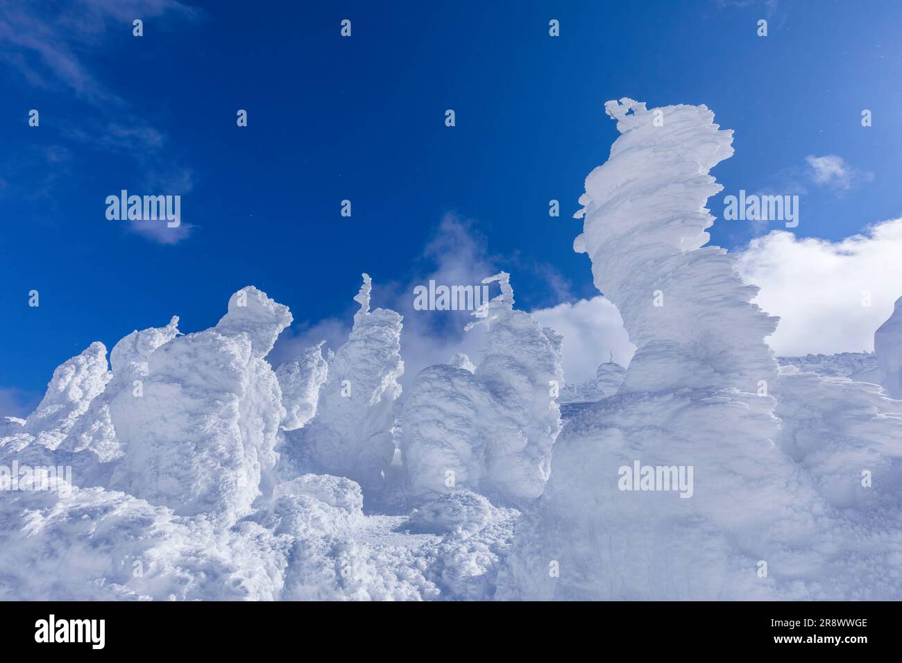 Juhyō in Zaō Stock Photo - Alamy