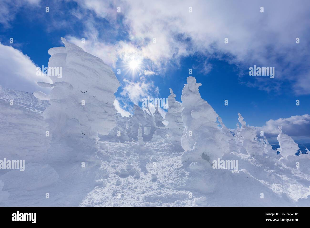 Juhyō in Zaō Stock Photo - Alamy