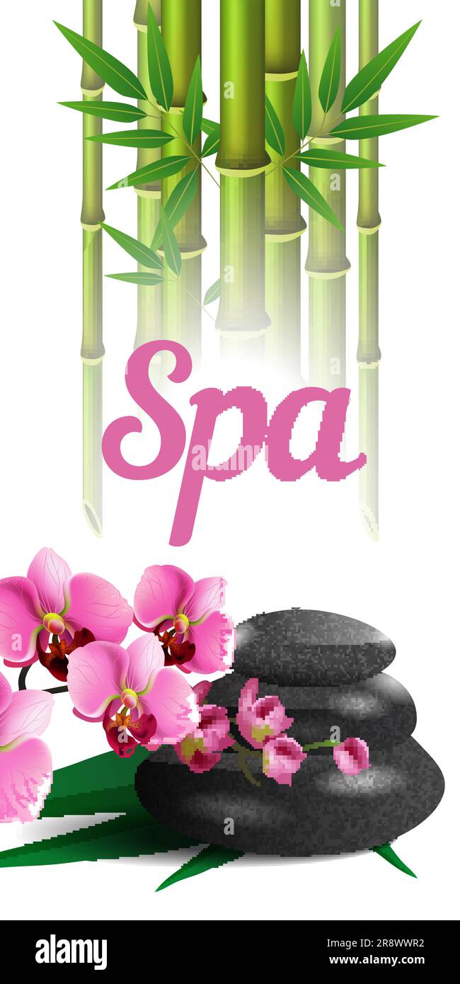 Spa lettering, bamboo, stones and orchid Stock Vector Image & Art - Alamy