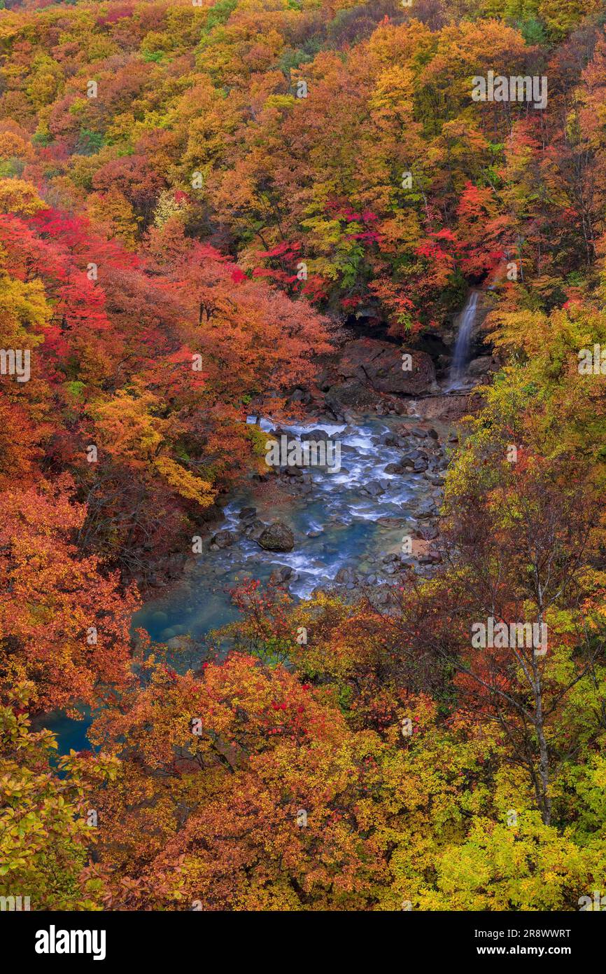 Matsukawa hi-res stock photography and images - Alamy