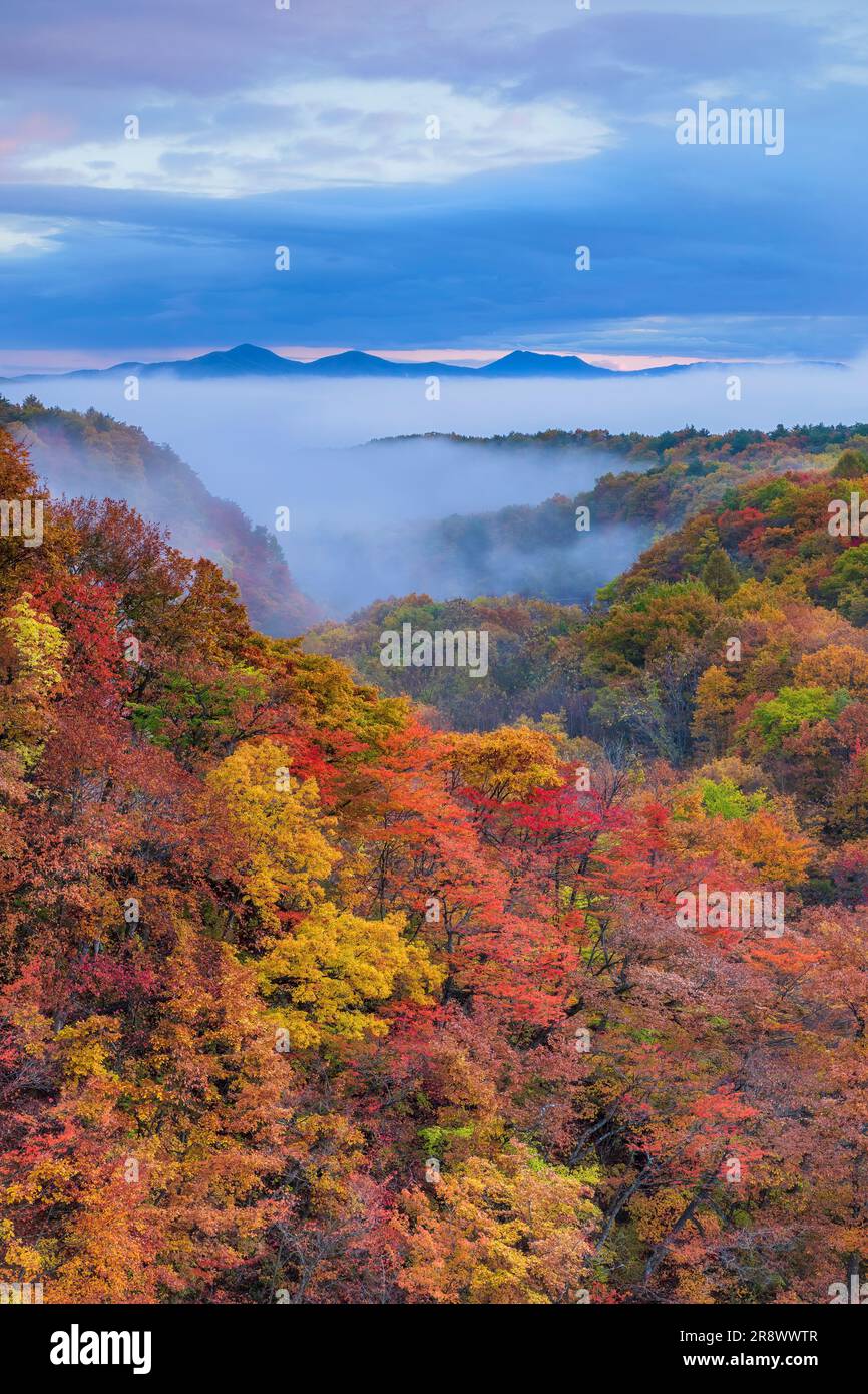 Matsukawa river hi-res stock photography and images - Alamy
