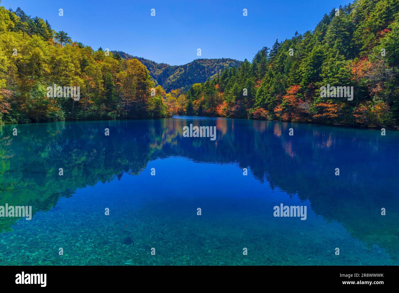 Onumaike hi-res stock photography and images - Alamy