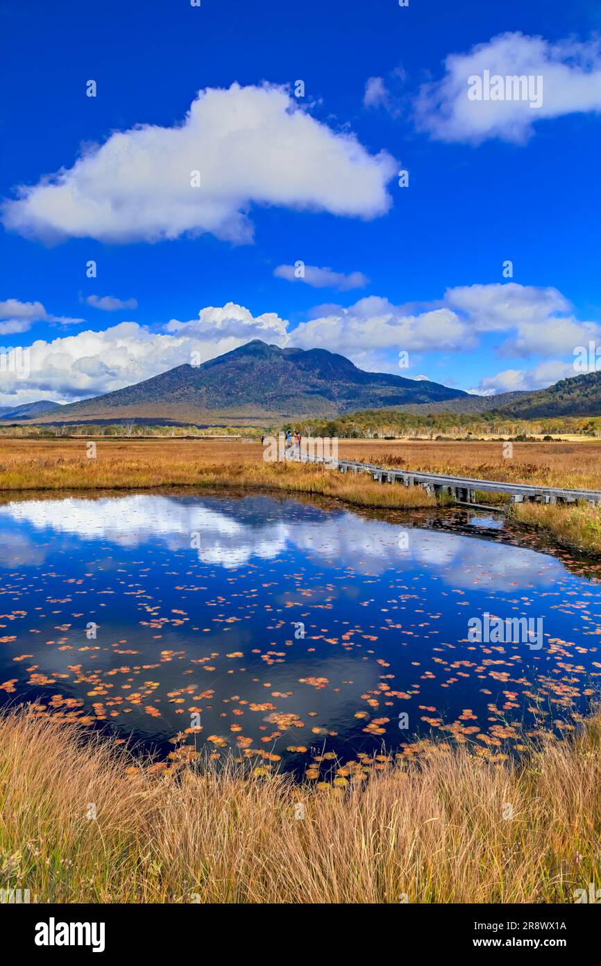 Oze in Autumn Stock Photo - Alamy
