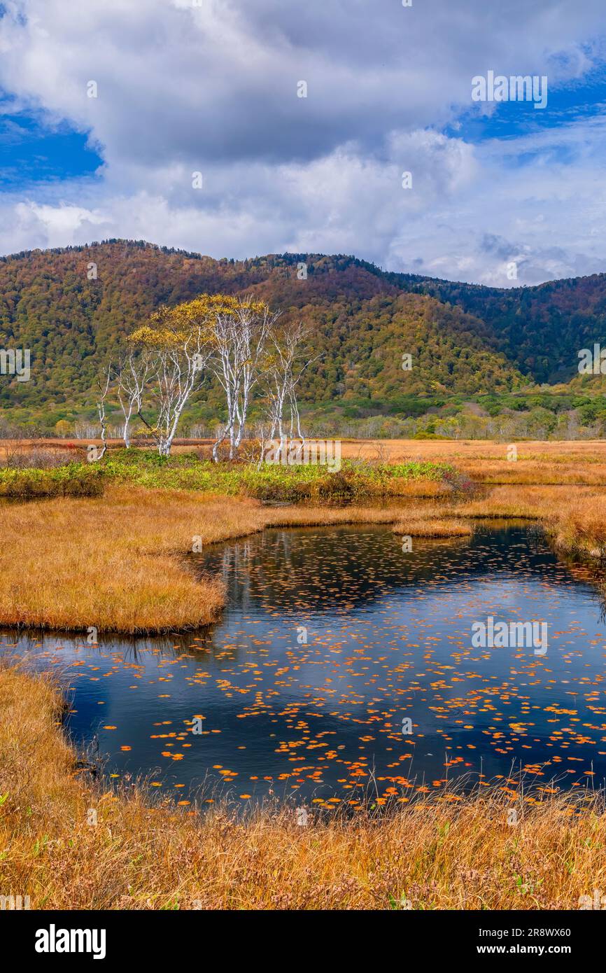 Oze pond hi-res stock photography and images - Alamy