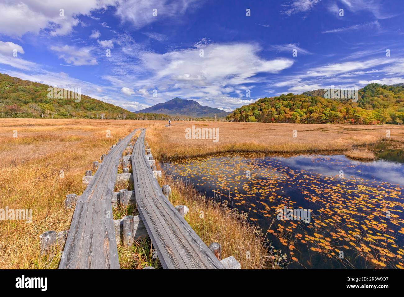Oze in Autumn Stock Photo - Alamy