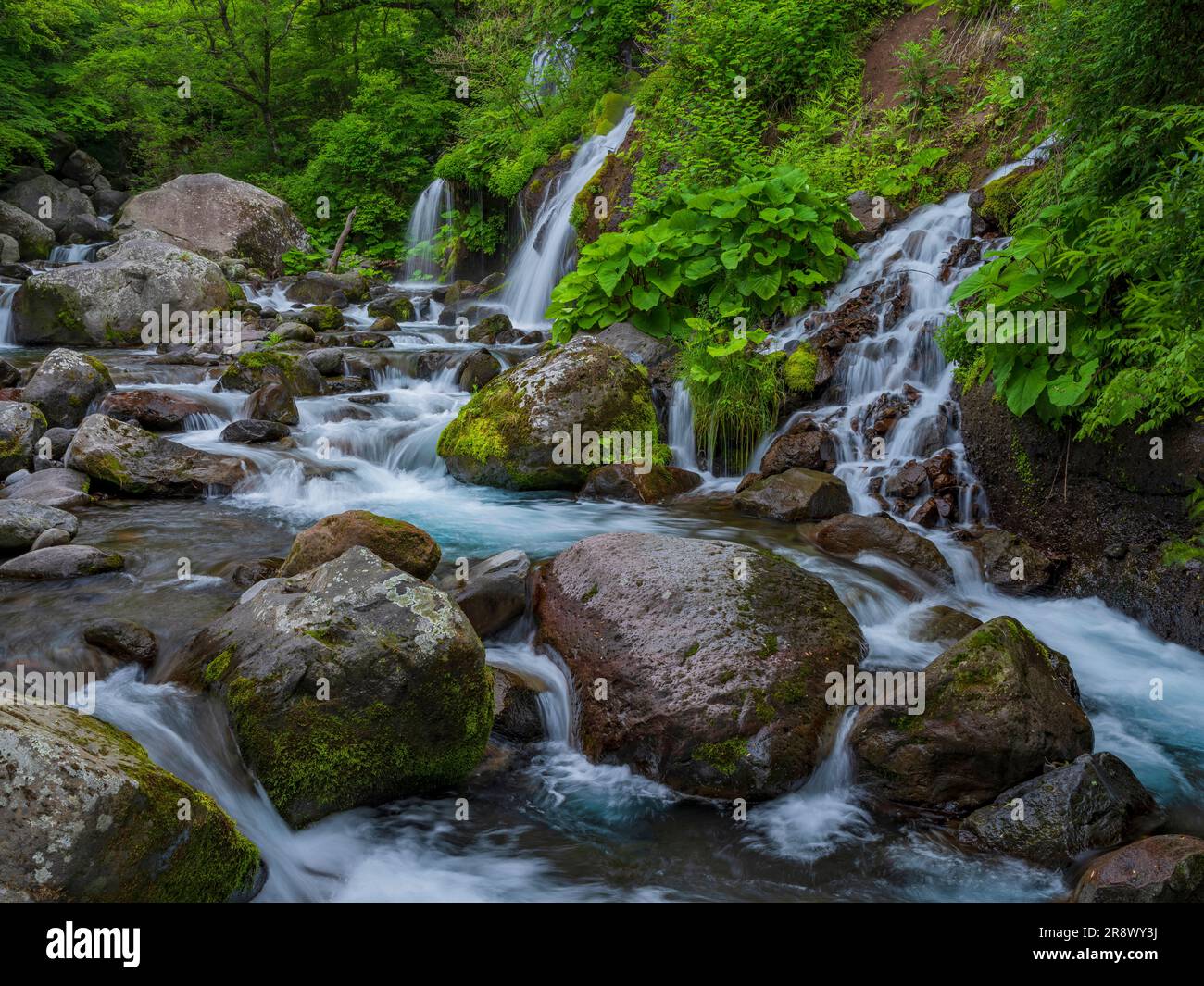 Doryuno waterfall hi-res stock photography and images - Alamy