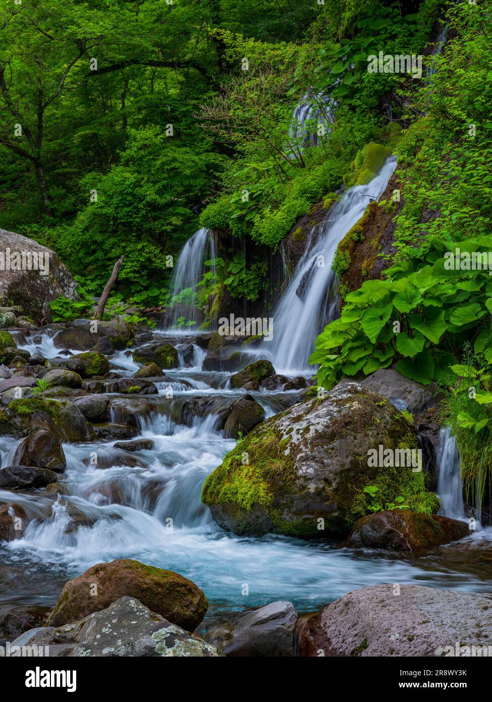 Doryuno waterfall hi-res stock photography and images - Alamy