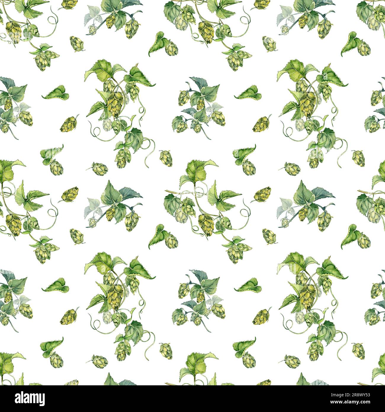 Hop vine, plant humulus watercolor seamless pattern isolated on white background. Hop on brunch ...