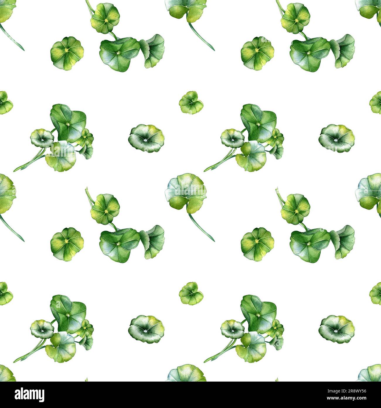 Centella asiatica, geranium watercolor seamless pattern isolated on ...