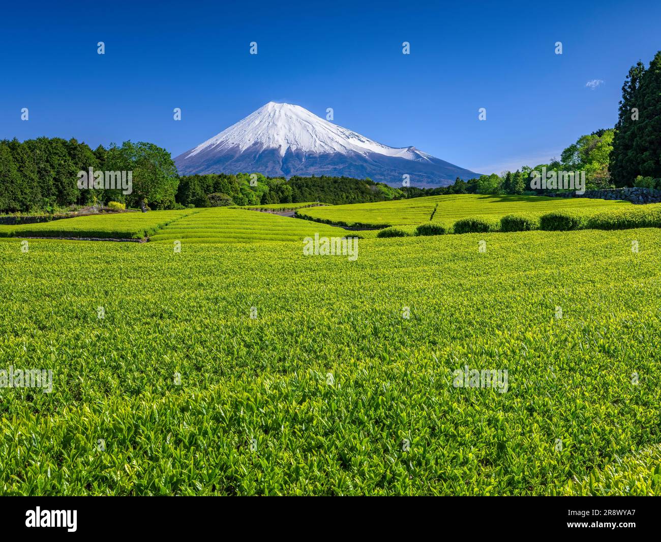 Agriculture field japan hi-res stock photography and images - Alamy