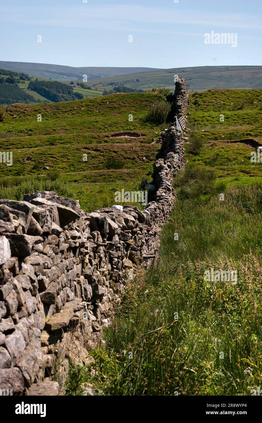 Whitley castle hi-res stock photography and images - Alamy