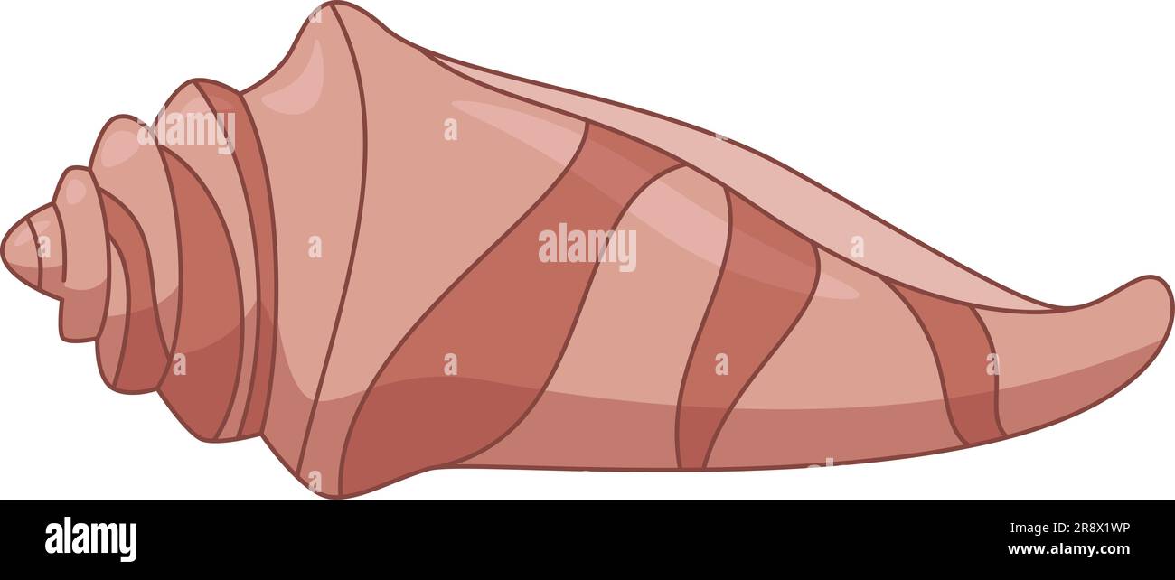 Long spiral shell hi-res stock photography and images - Alamy