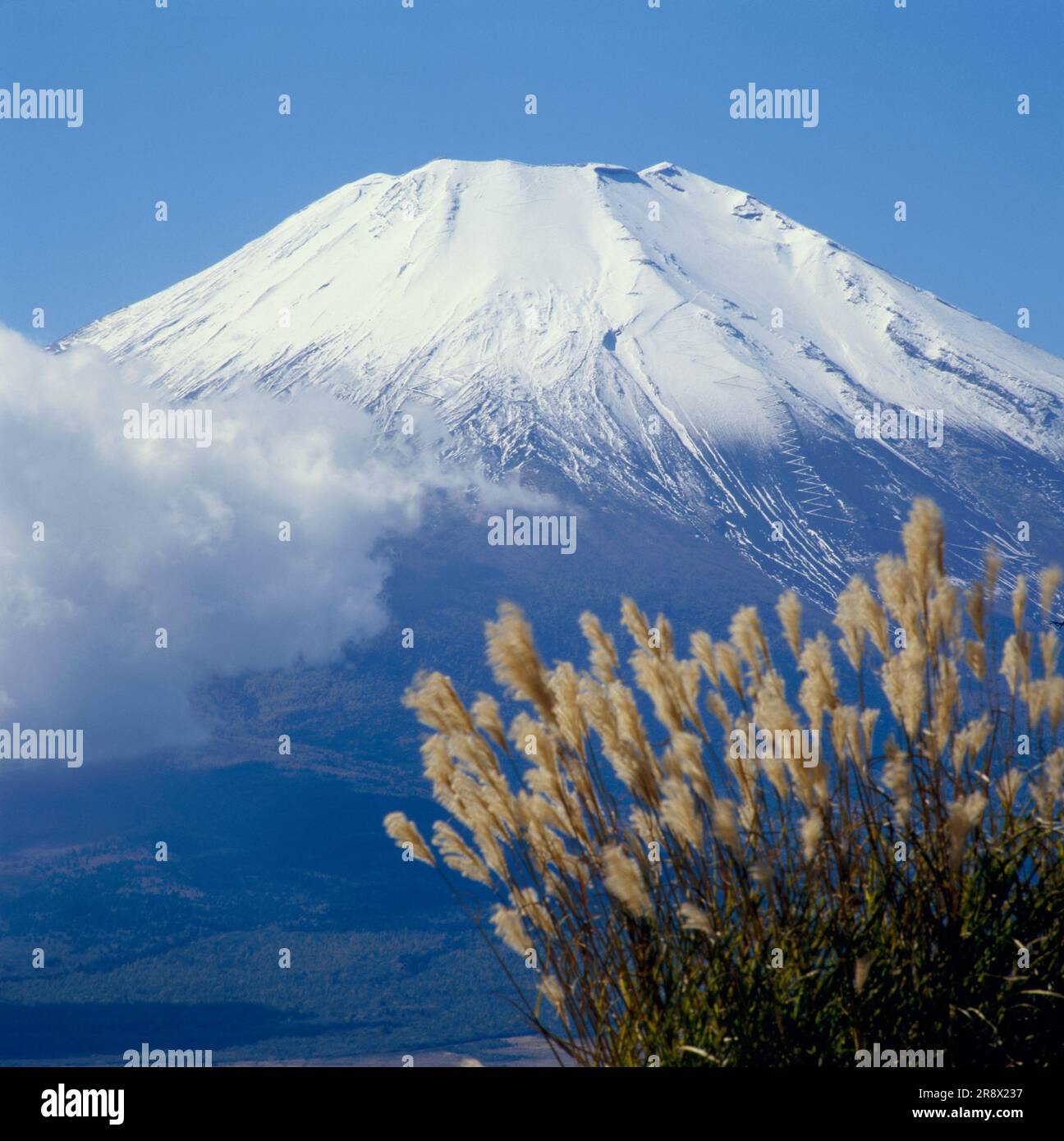 Mount fuji snow covered hi-res stock photography and images - Alamy