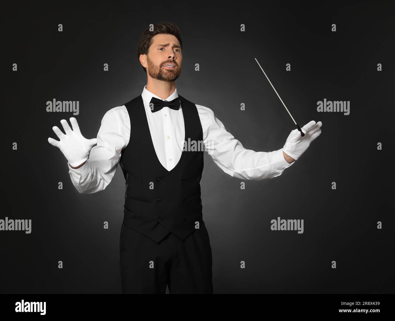 Professional conductor with baton on black background Stock Photo - Alamy