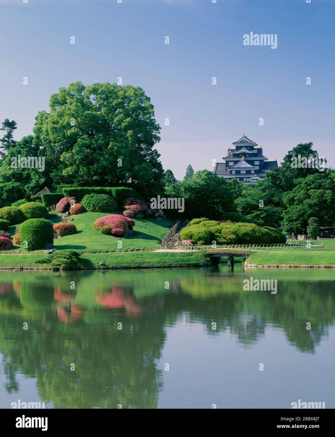 Korakuen garden and Okayama Castle Stock Photo - Alamy