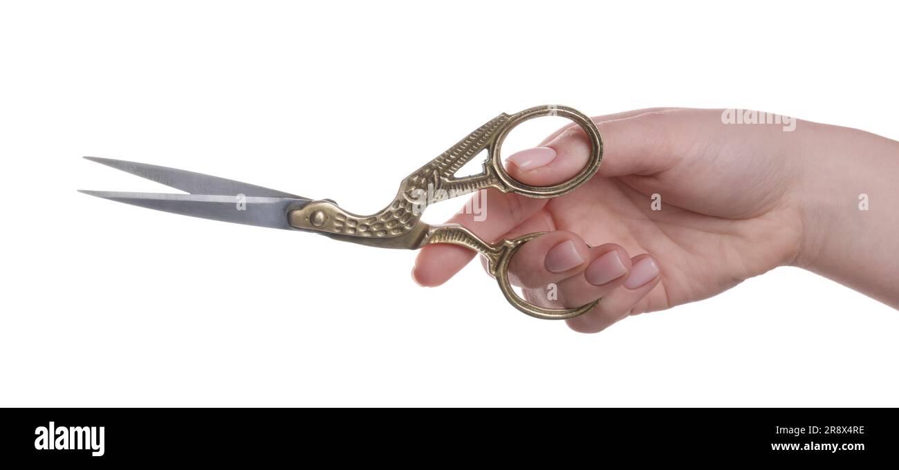 Woman holding pair scissors hi-res stock photography and images - Alamy