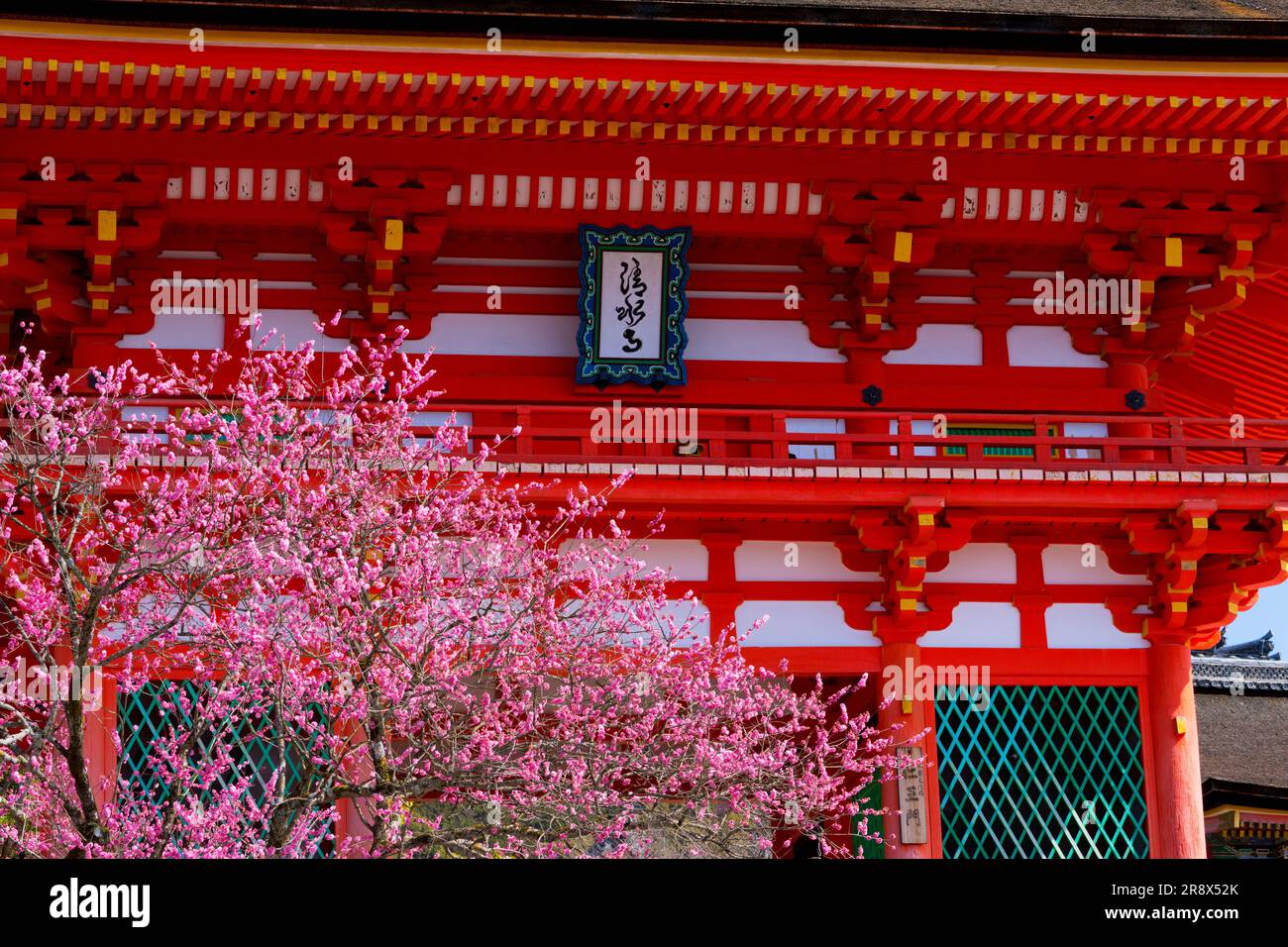 Red temple flower hi-res stock photography and images - Alamy