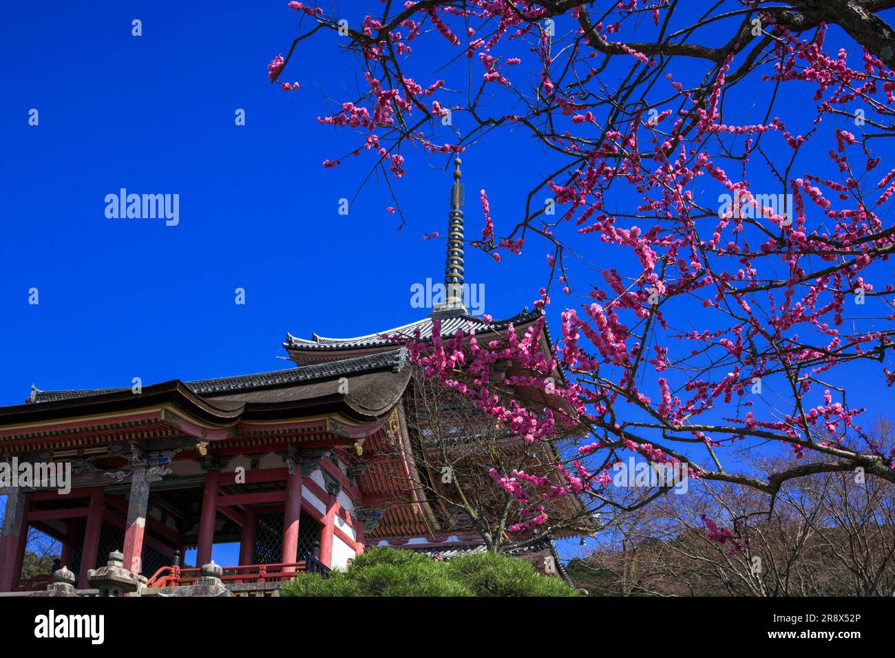 Shimizu gate hi-res stock photography and images - Alamy