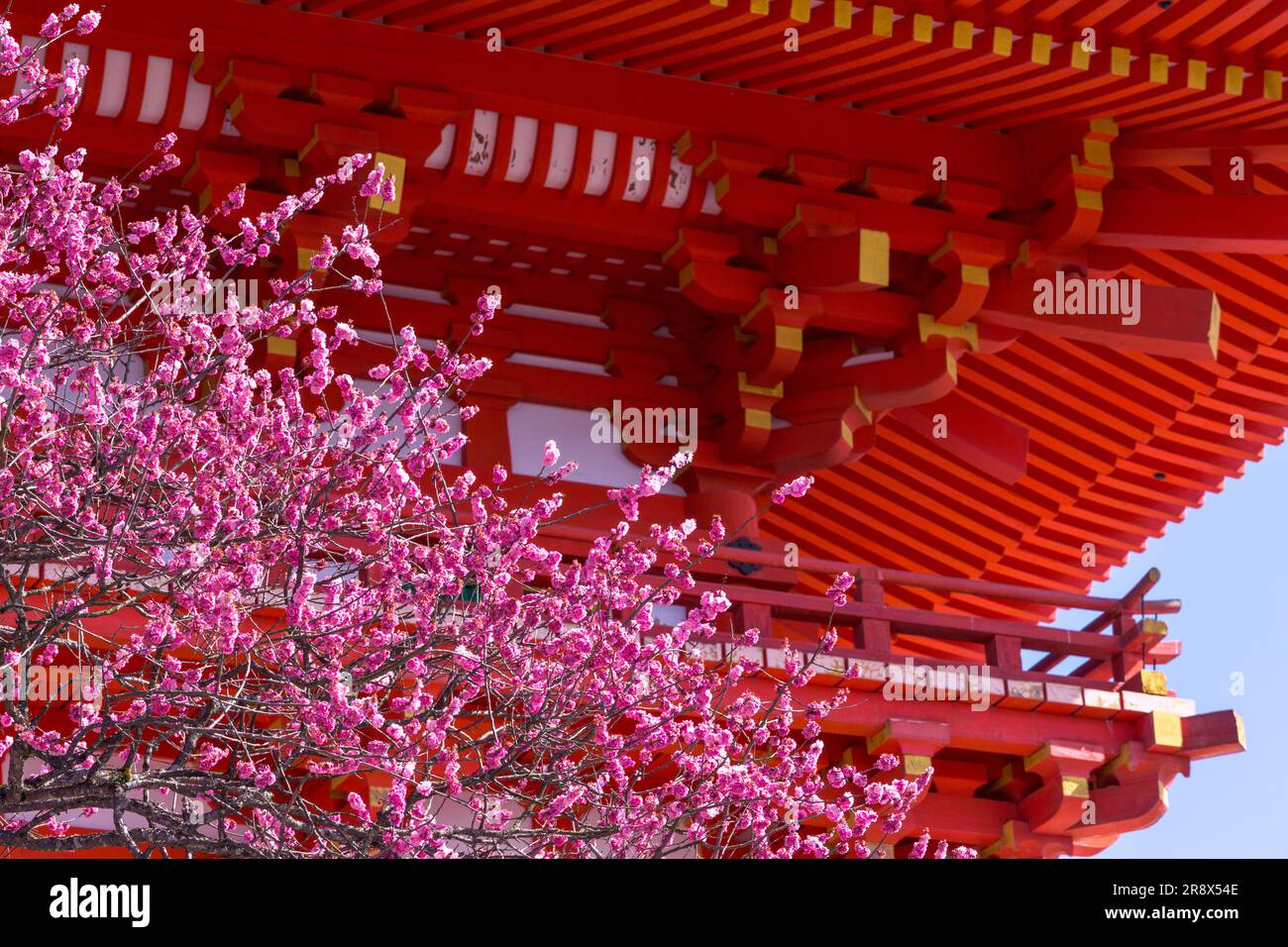 Red temple gate kiyomizu hi-res stock photography and images - Alamy