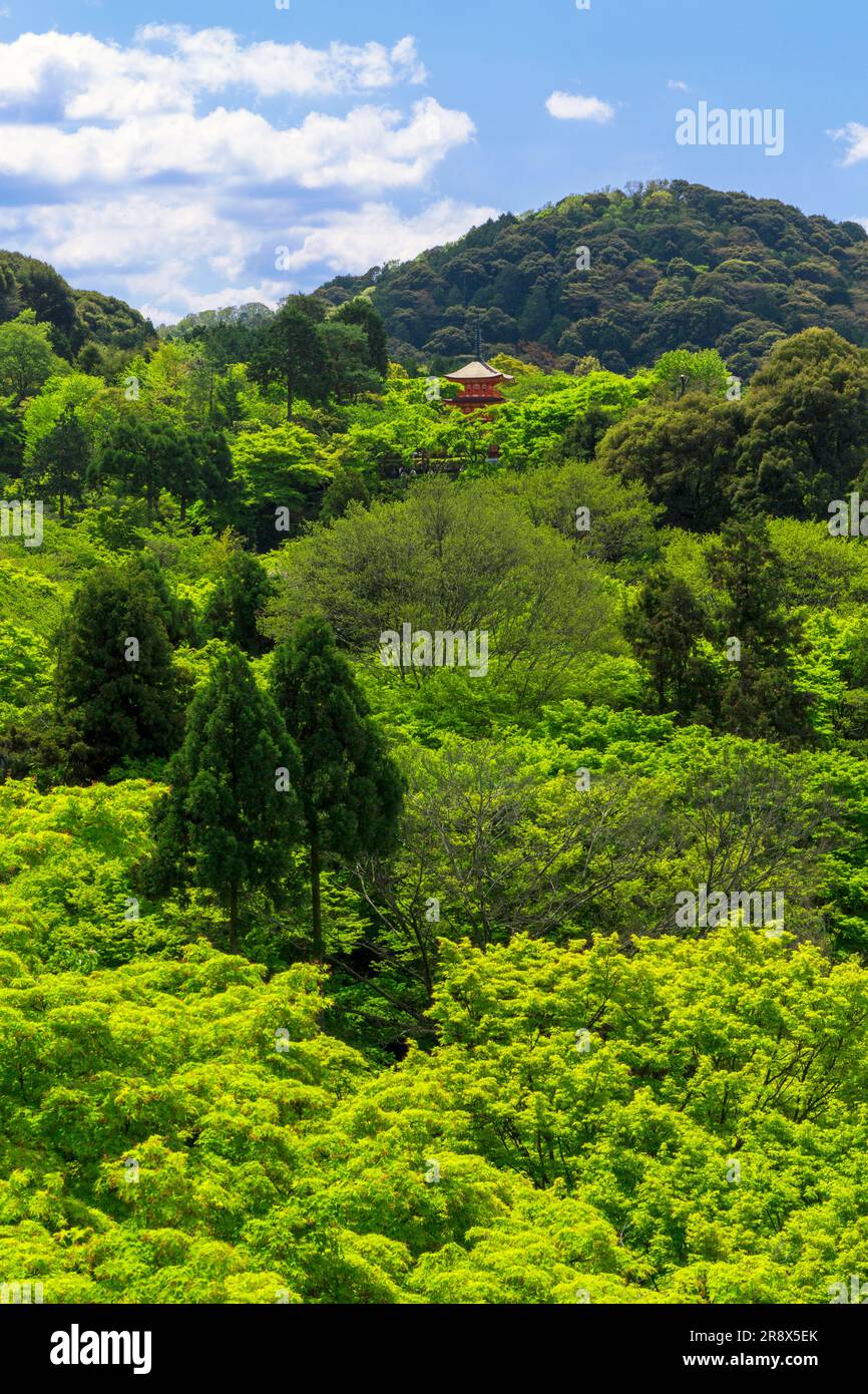 Kiyomizudera Koyasu tower Stock Photo - Alamy