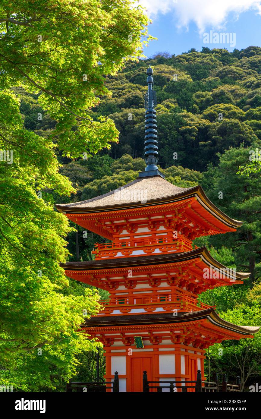 Kiyomizudera Koyasu tower Stock Photo - Alamy