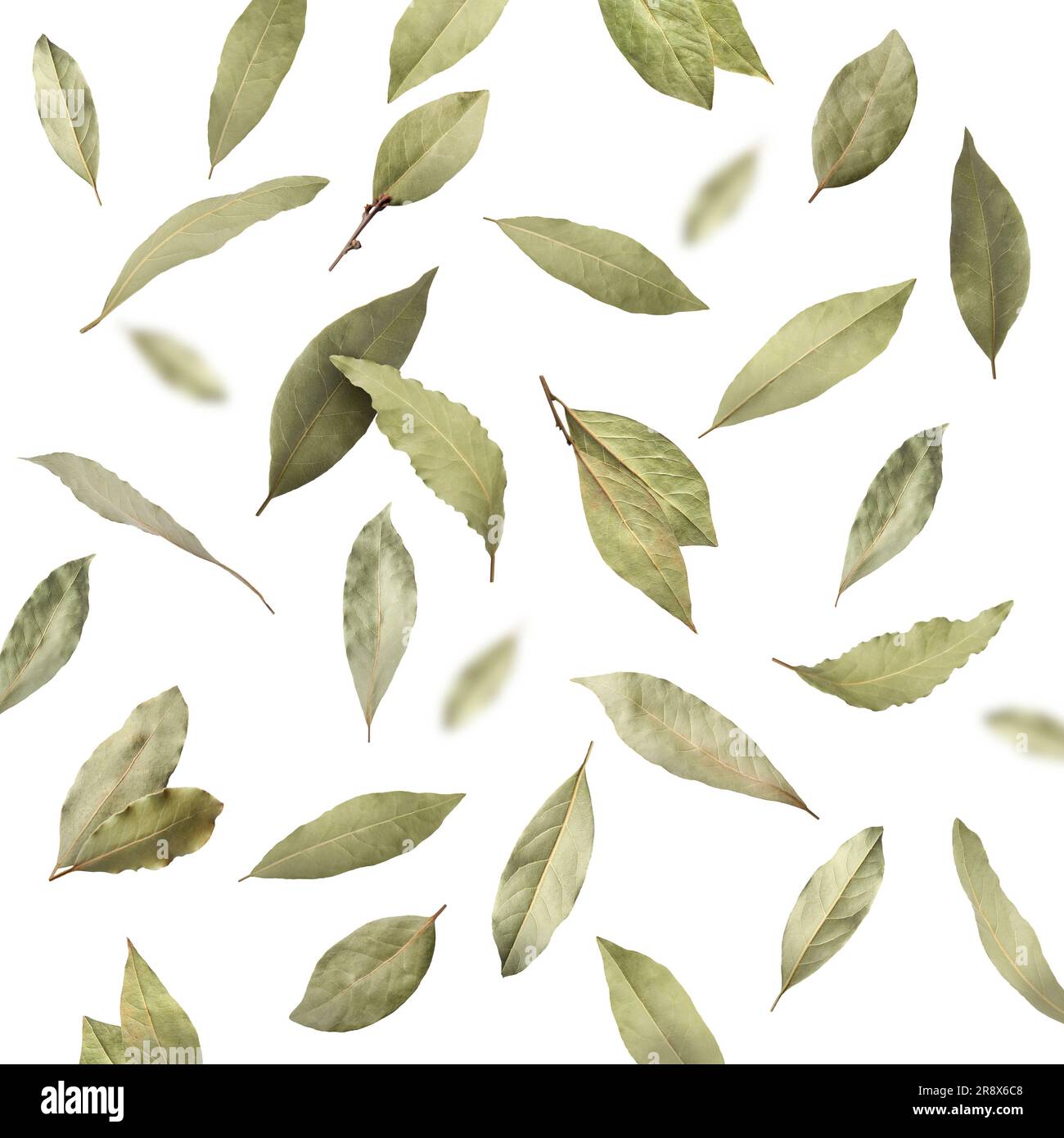 Dry bay leaves falling on white background Stock Photo - Alamy