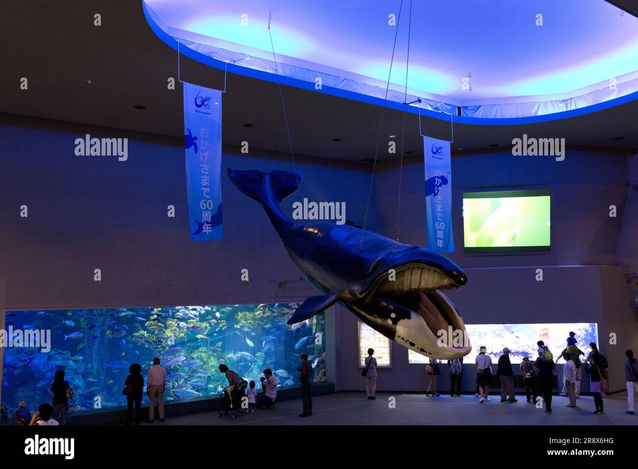 Toba aquarium hi-res stock photography and images - Alamy