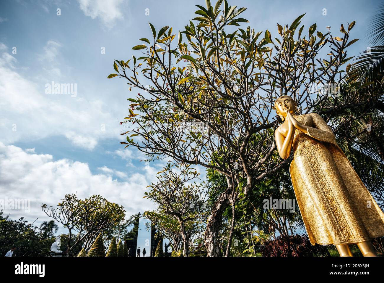 Buddha statue with closed eyes in the jungle Stock Photo - Alamy