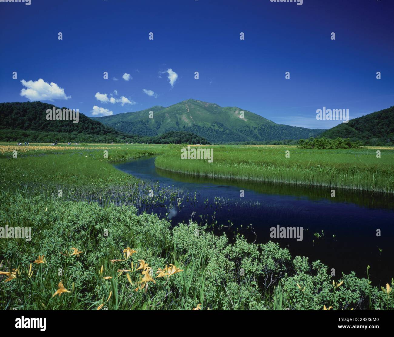 Ozegahara overlooking Mount Shibutsu Stock Photo - Alamy