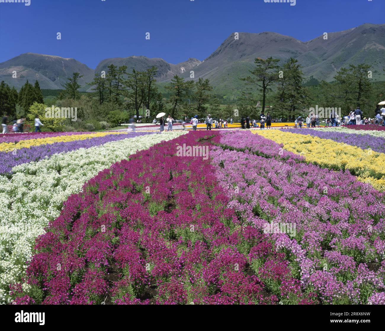Kuju city hi-res stock photography and images - Alamy