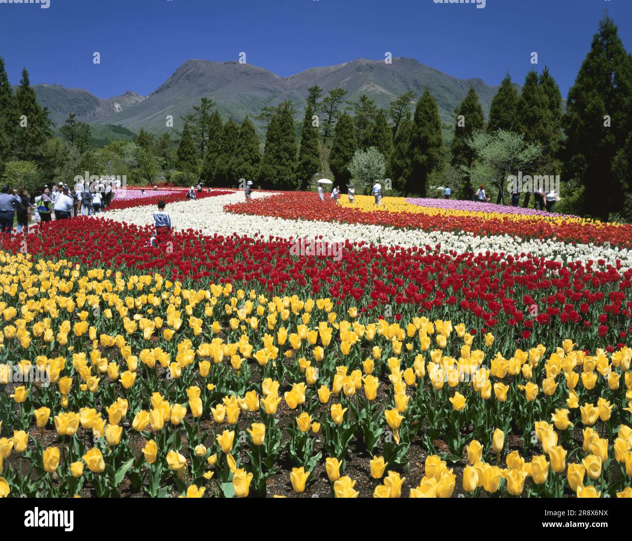 Kuju city hi-res stock photography and images - Alamy