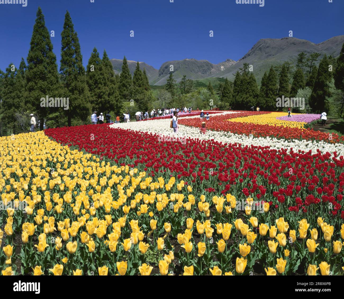 Kuju city hi-res stock photography and images - Alamy