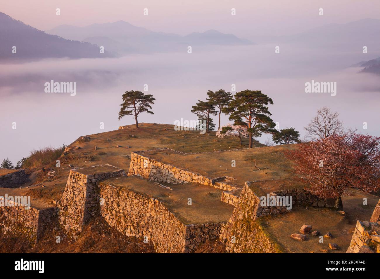 Ruins of Takeda Castle in the morning Stock Photo - Alamy