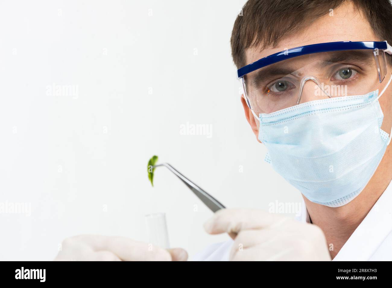 Technician puts test tube hi-res stock photography and images - Alamy
