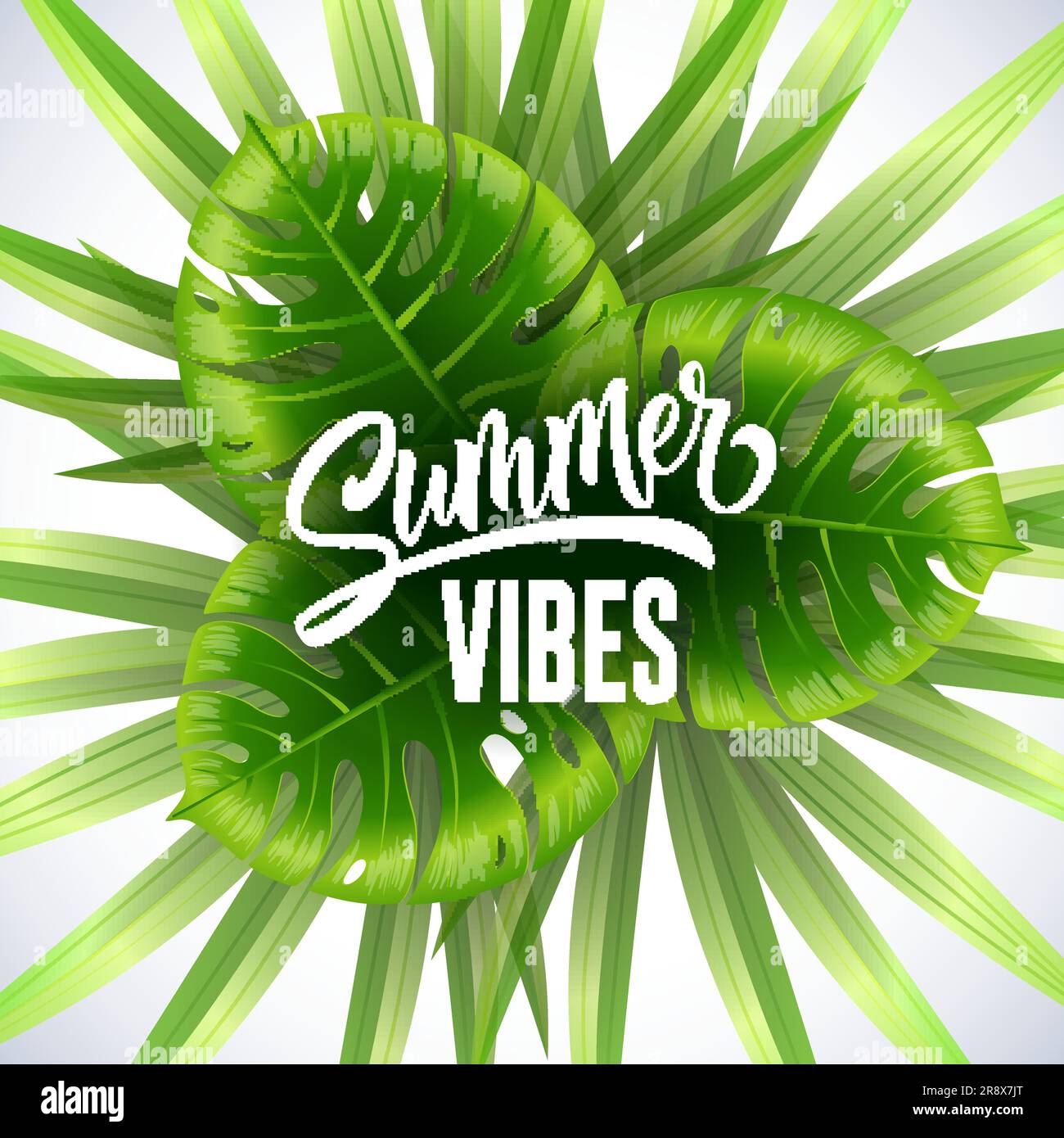 Summer vibes seasonal banner Stock Vector Images - Alamy
