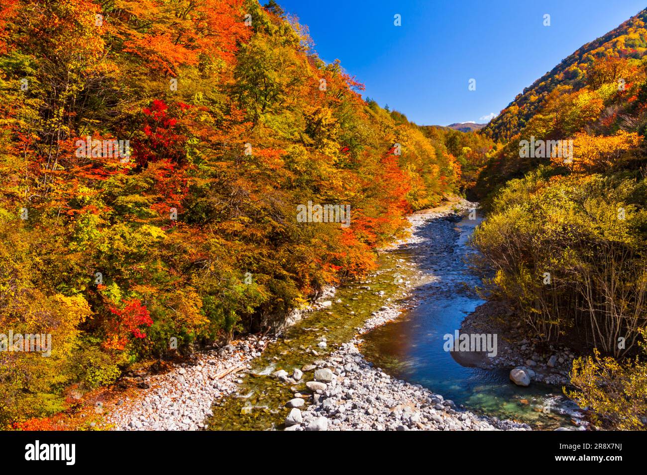Nishizawa hi-res stock photography and images - Alamy