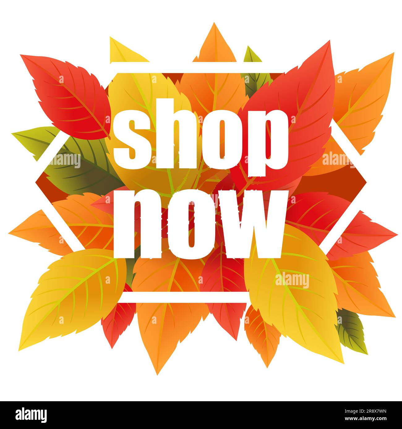 Now hexagon Stock Vector Images - Alamy