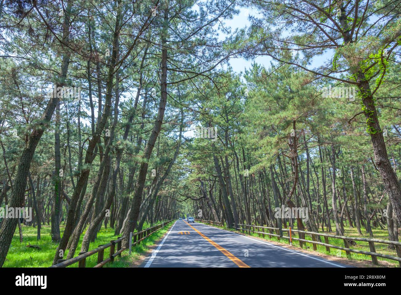 Japan s three major matsubara hi-res stock photography and images - Alamy