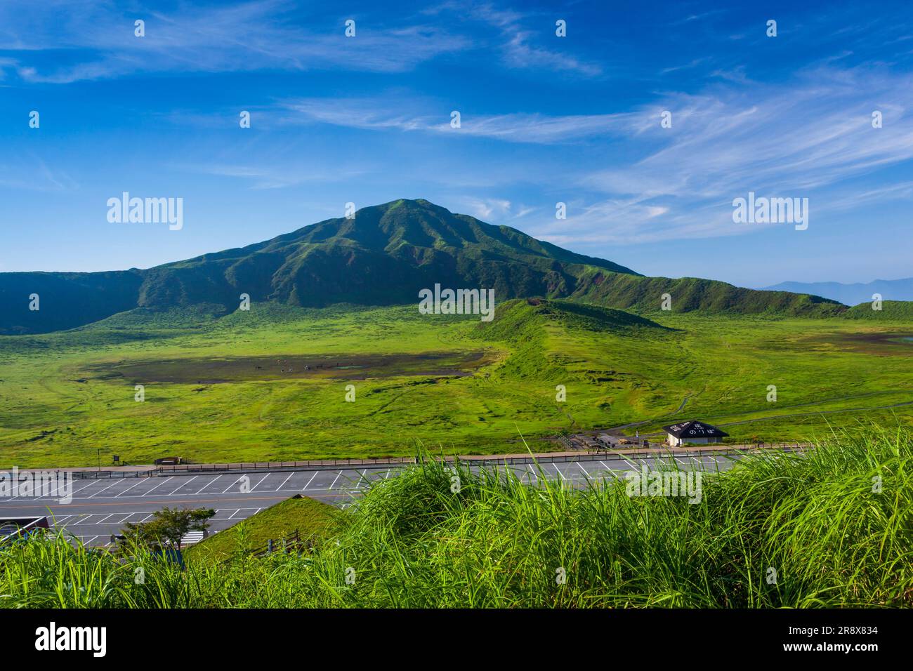 Grass chisato hi-res stock photography and images - Alamy