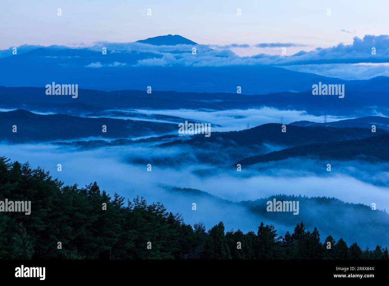 View of Mount Chokaisan from Chokainomori forest Stock Photo - Alamy