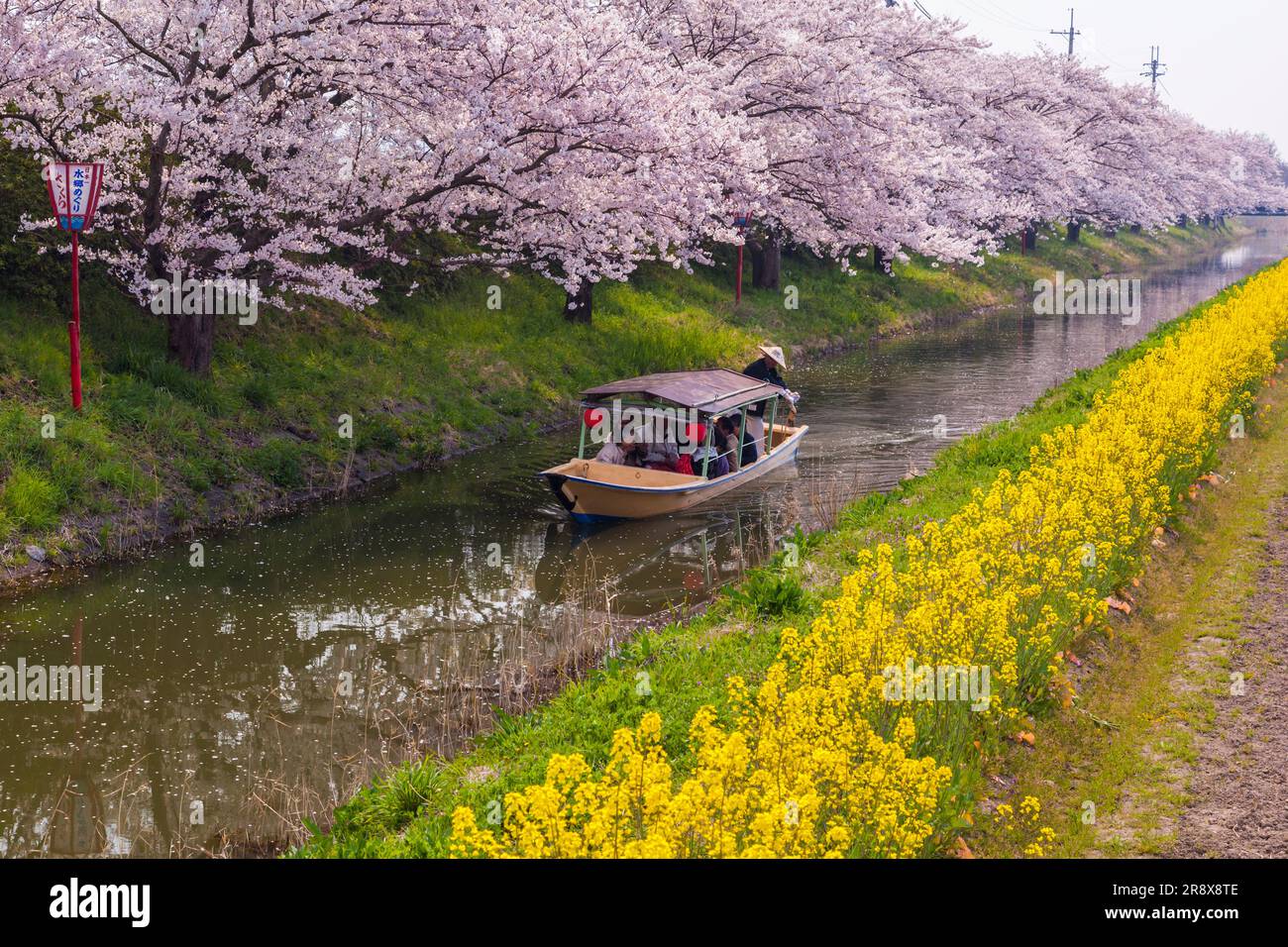 tour around a riverside area Stock Photo - Alamy