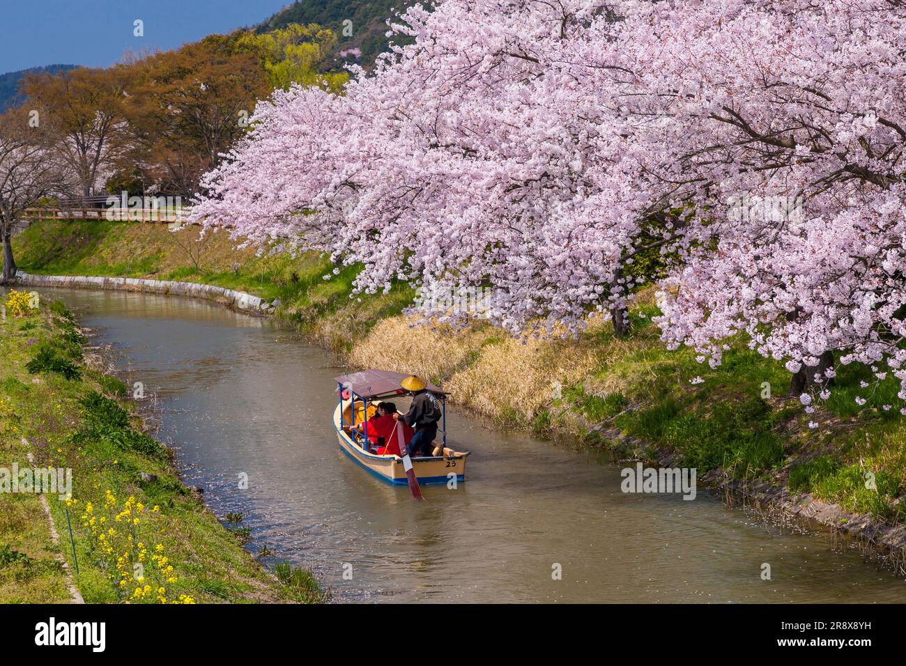 tour around a riverside area Stock Photo - Alamy